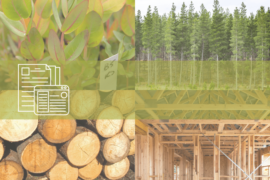 Students Develop Tree Planting Robot - Forest & Wood Products Australia