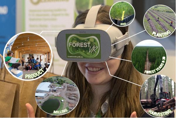 Virtually Transporting Students From The Classroom To The Forest ...