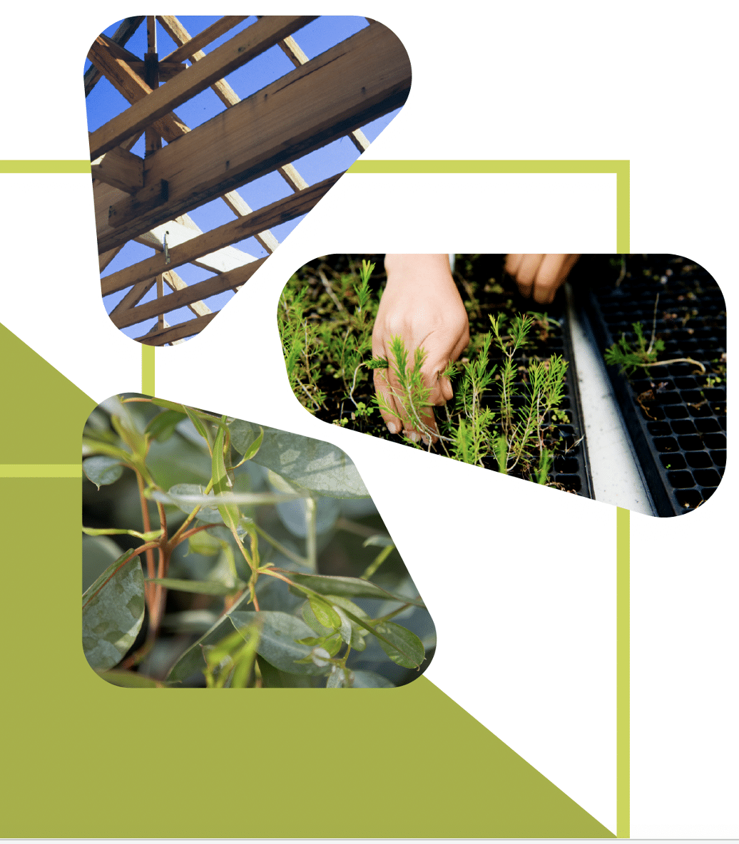 Why Forestry Matters! The Role Of Commercial Forestry In Offsetting ...