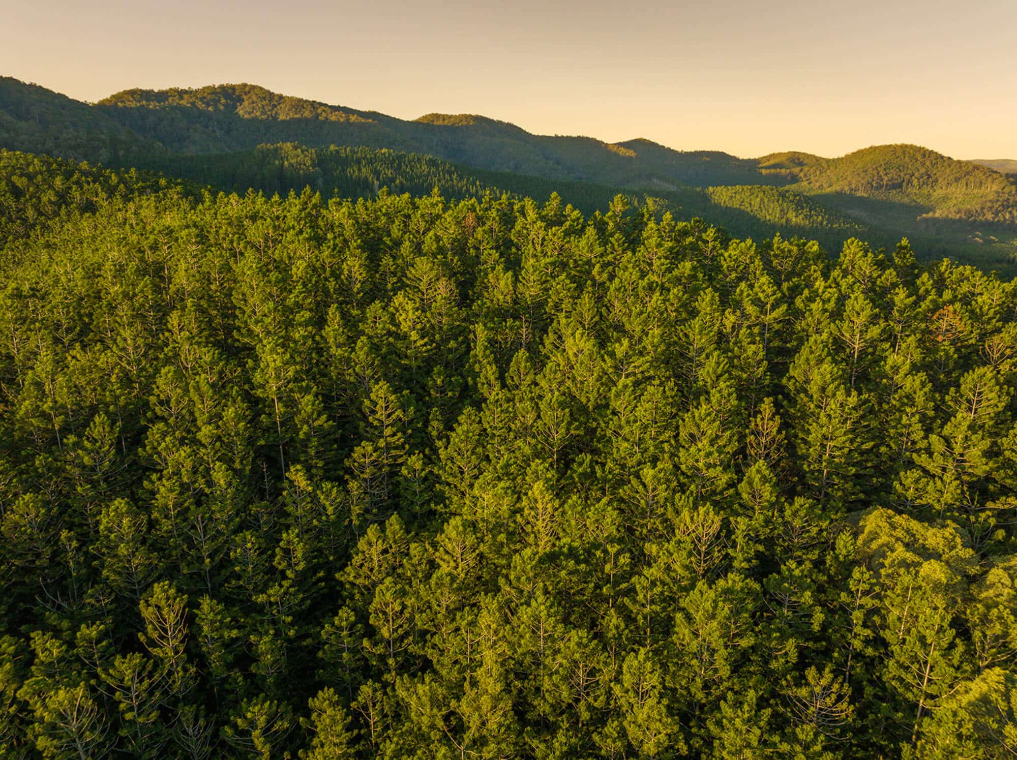 Contact Us - Forest & Wood Products Australia