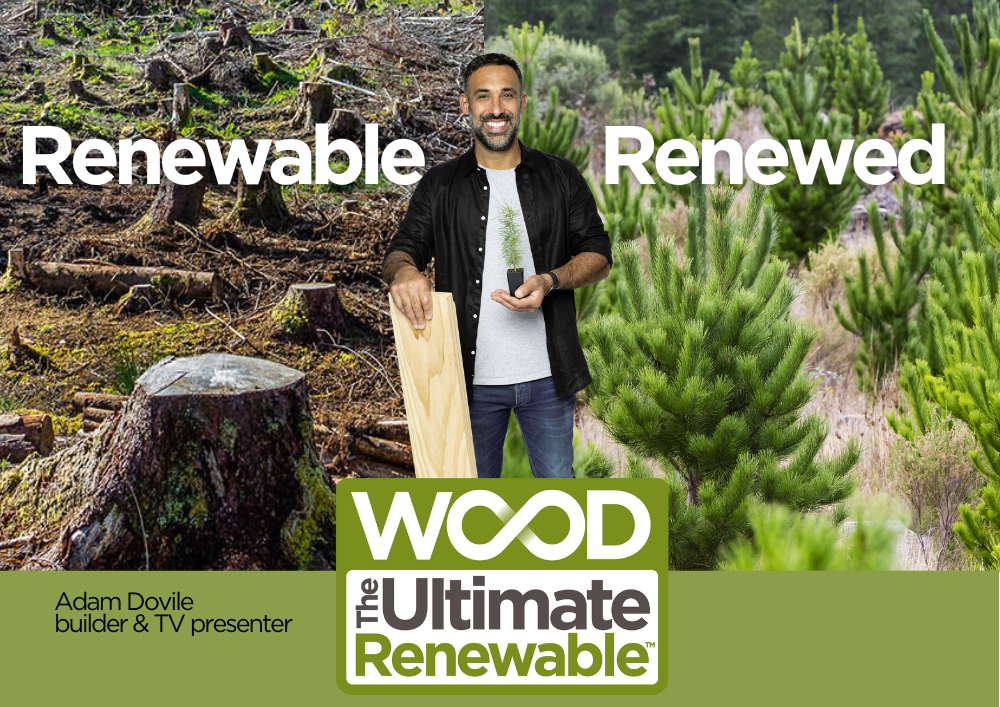 A Bold $1.8 Million Investment In The Future Of Forestry – The Next ...