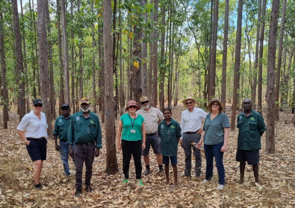 FWPA Board Visits The Northern Territory’s Tiwi Islands - Forest & Wood ...