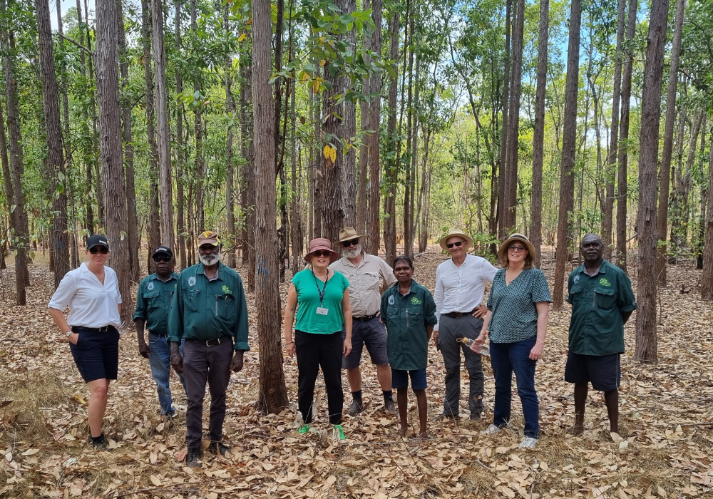 Tiwi Islands In Focus: FWPA Board Visits Northern Territory - Forest ...