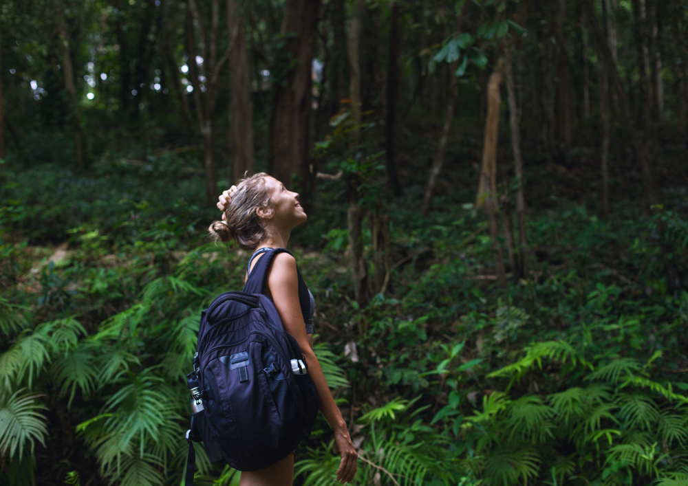 Forest Research: An Awfully Big Adventure! - Forest & Wood Products ...