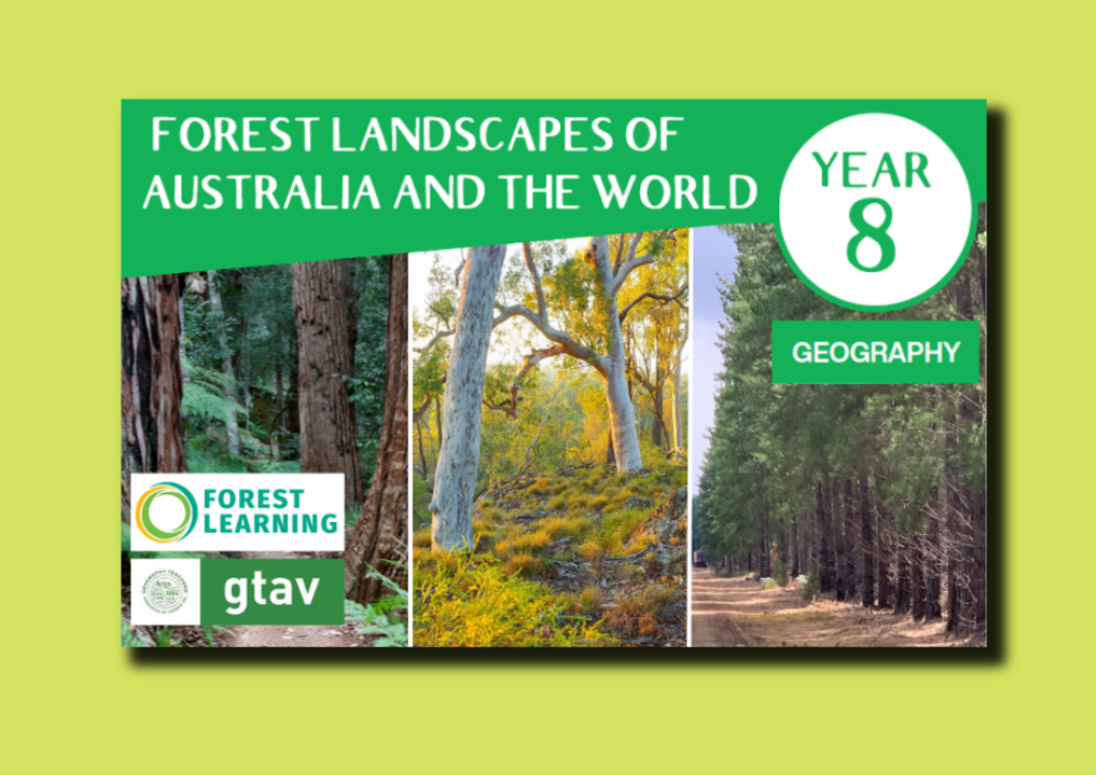 ForestLearning Takes Kids On A Tour Of The Forest Landscapes Of ...