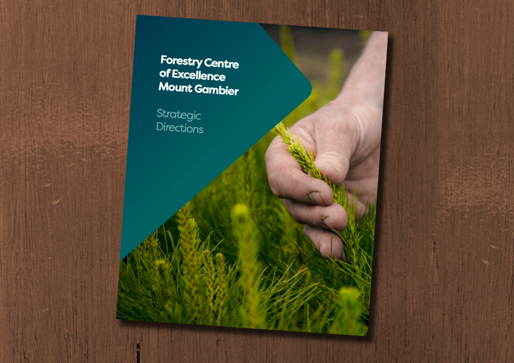 Historic Forestry Centre Of Excellence Set To Open Its Doors In South ...