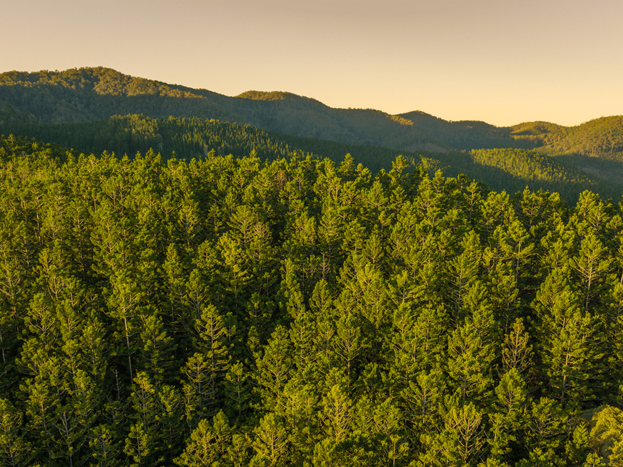 About FWPA | Learn More About Forest & Wood Products Australia