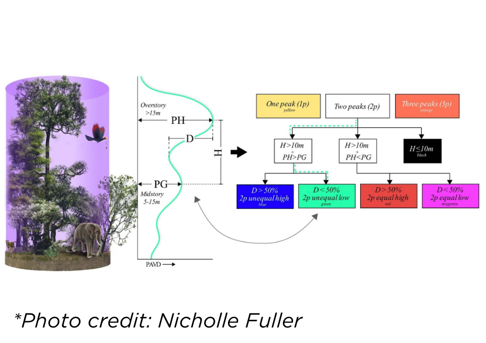 NASA, GEDI, Space Lasers And ... Forestry? - Forest & Wood Products ...