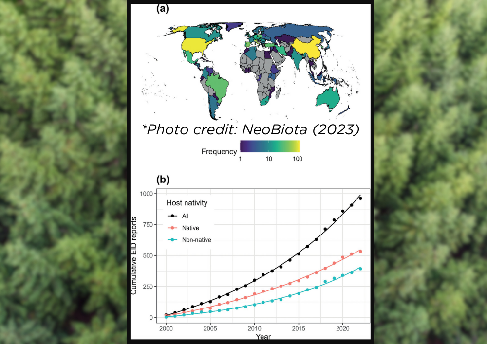 Pests And Diseases An Increasing Threat To Trees Globally ... And They ...
