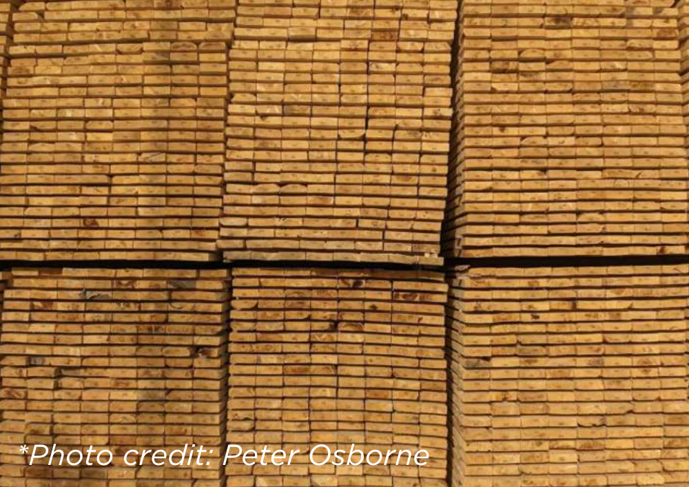 What’s The Impact Of Resilient Forest Management Practices On The Wood ...
