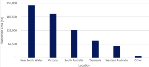 Radiata Pine - Material Information Sheet