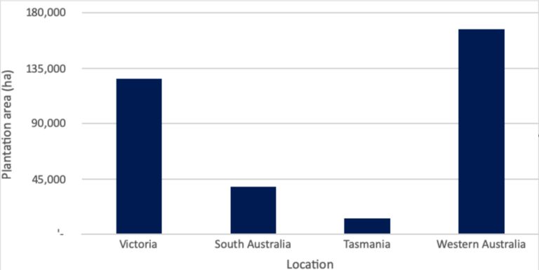 Tasmanian Blue Gum - Material Information Sheet