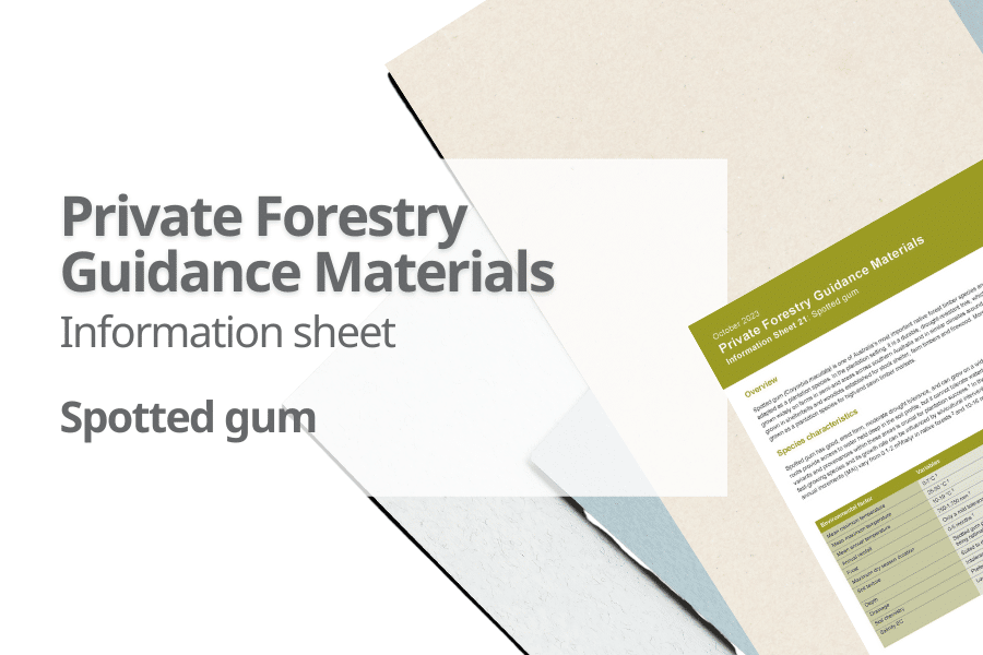 Spotted Gum - Material Information Sheet