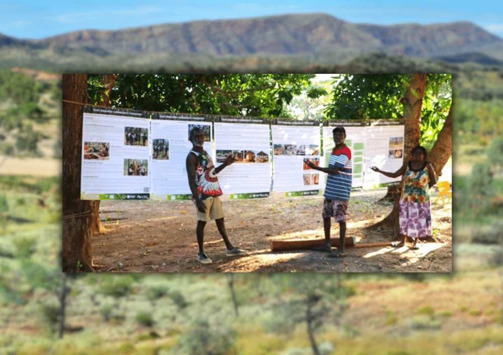 R&D Highlight: Working With Traditional Owners In The NT To Build ...