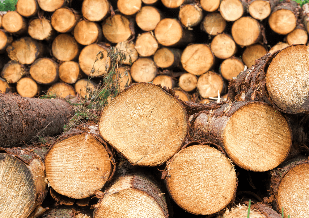 Sawn Softwood Imports Stabilise - Forest & Wood Products Australia
