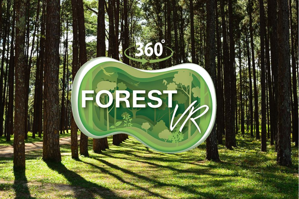 Invite Your Event Attendees Into The Forest Using ForestVR™️ - Forest & Wood Products Australia