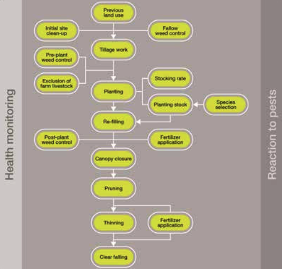 Small-Scale Private Forestry: Report On Sustainable Wood Fibre Supply