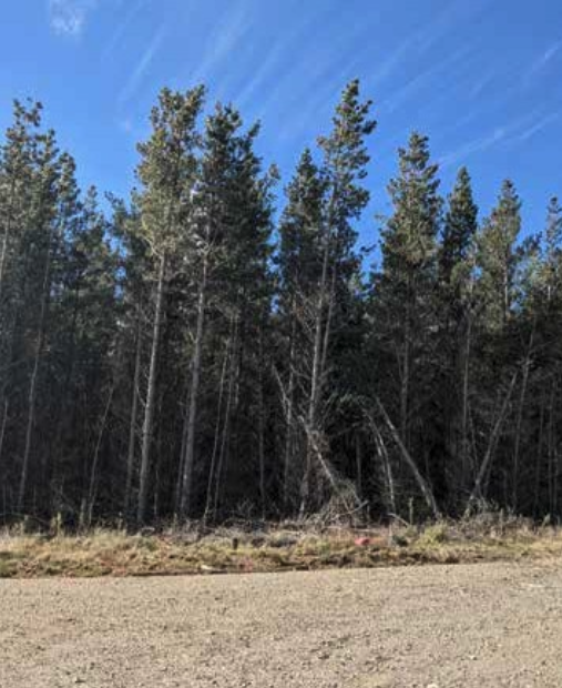 Small-Scale Private Forestry: Report On Sustainable Wood Fibre Supply