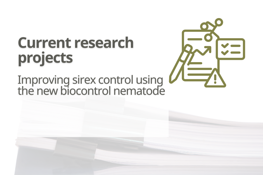 Improving Sirex Control Using The New Biocontrol Nematode - Forest ...