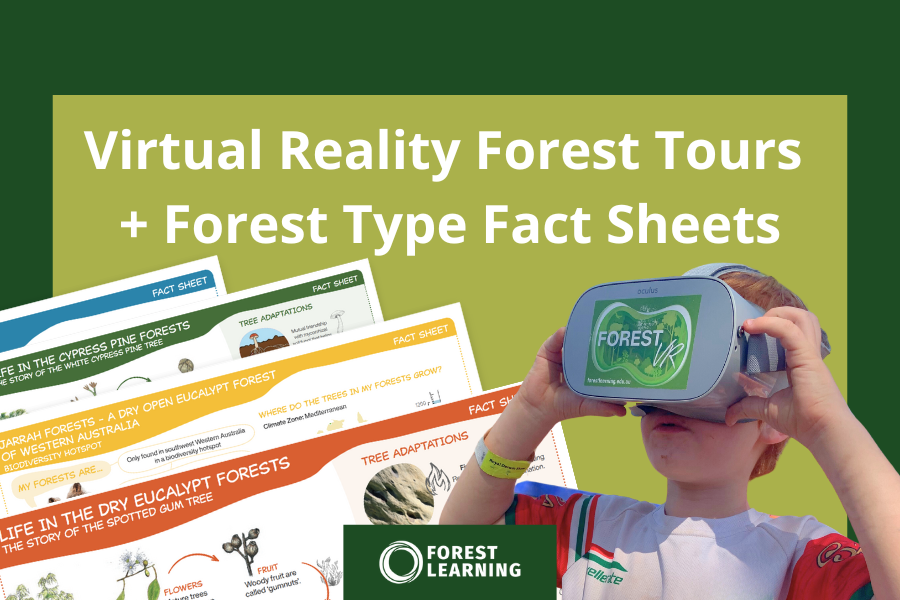 Educating A New Generation Of Forest Science Explorers - Forest & Wood ...