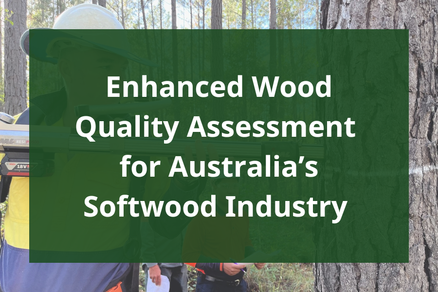 New Research Enhances Wood Quality Assessment For Australia’s Softwood ...