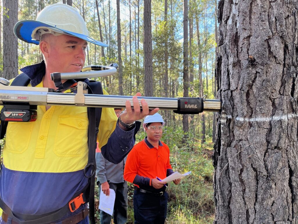Assessing & Managing Mid-rotation Wood Quality In Australian Softwood ...