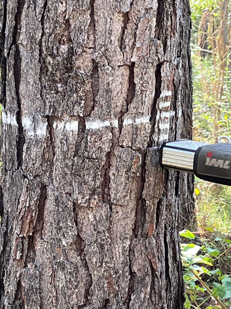 Assessing & Managing Mid-rotation Wood Quality In Australian Softwood ...