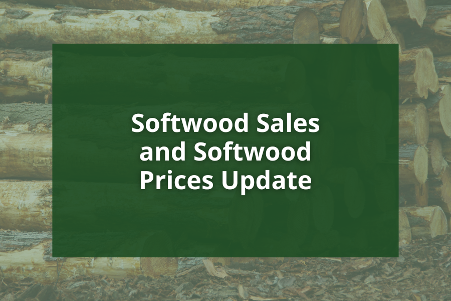 Softwood Sales And Softwood Prices Update - Forest & Wood Products ...